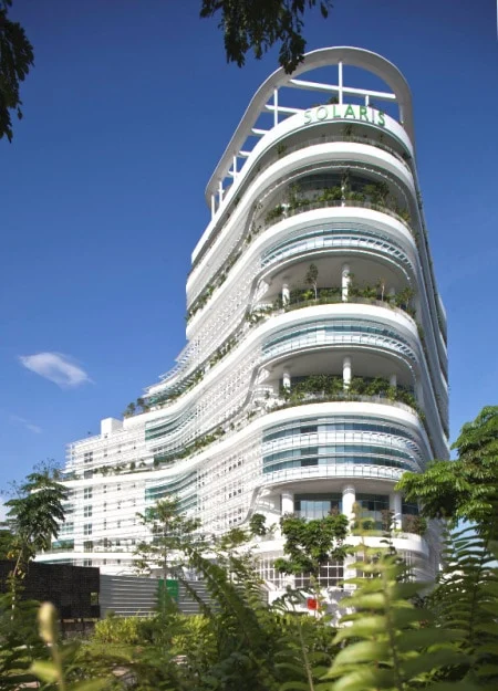 Urban Forest ในเมืองมีป่า ในป่ามีเมือง - The 101 World