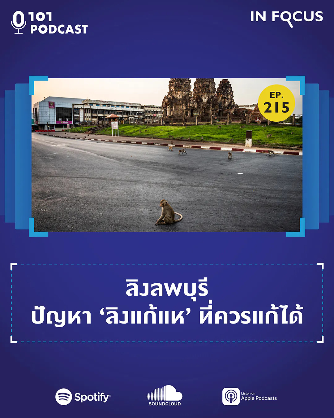 101 In Focus EP.215: ลิงลพบุรี ปัญหา ‘ลิงแก้แห’ ที่ควรแก้ได้ - The 101 World 101 in focus