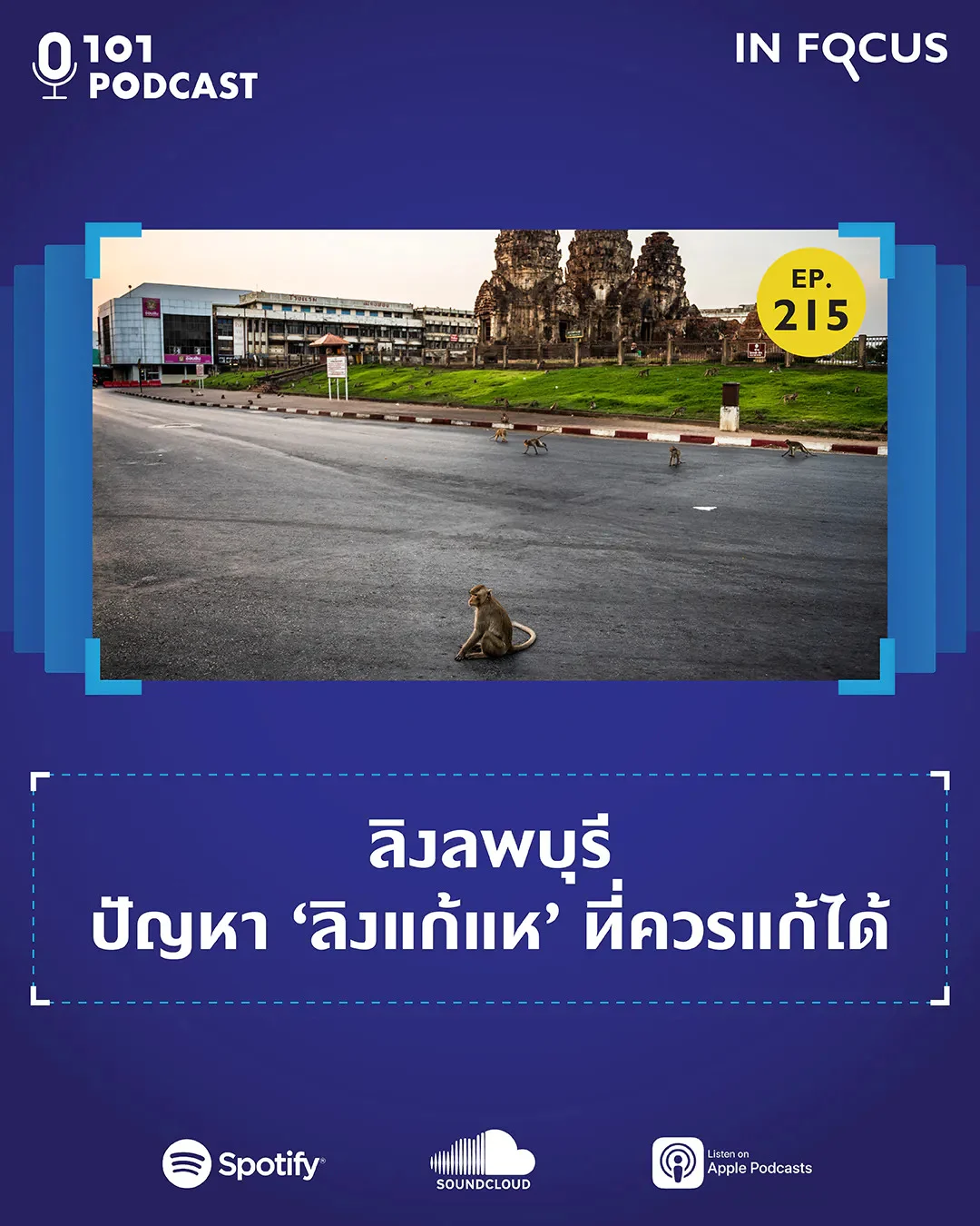 101 In Focus EP.215: ลิงลพบุรี ปัญหา ‘ลิงแก้แห’ ที่ควรแก้ได้ - The 101 World 101 in focus